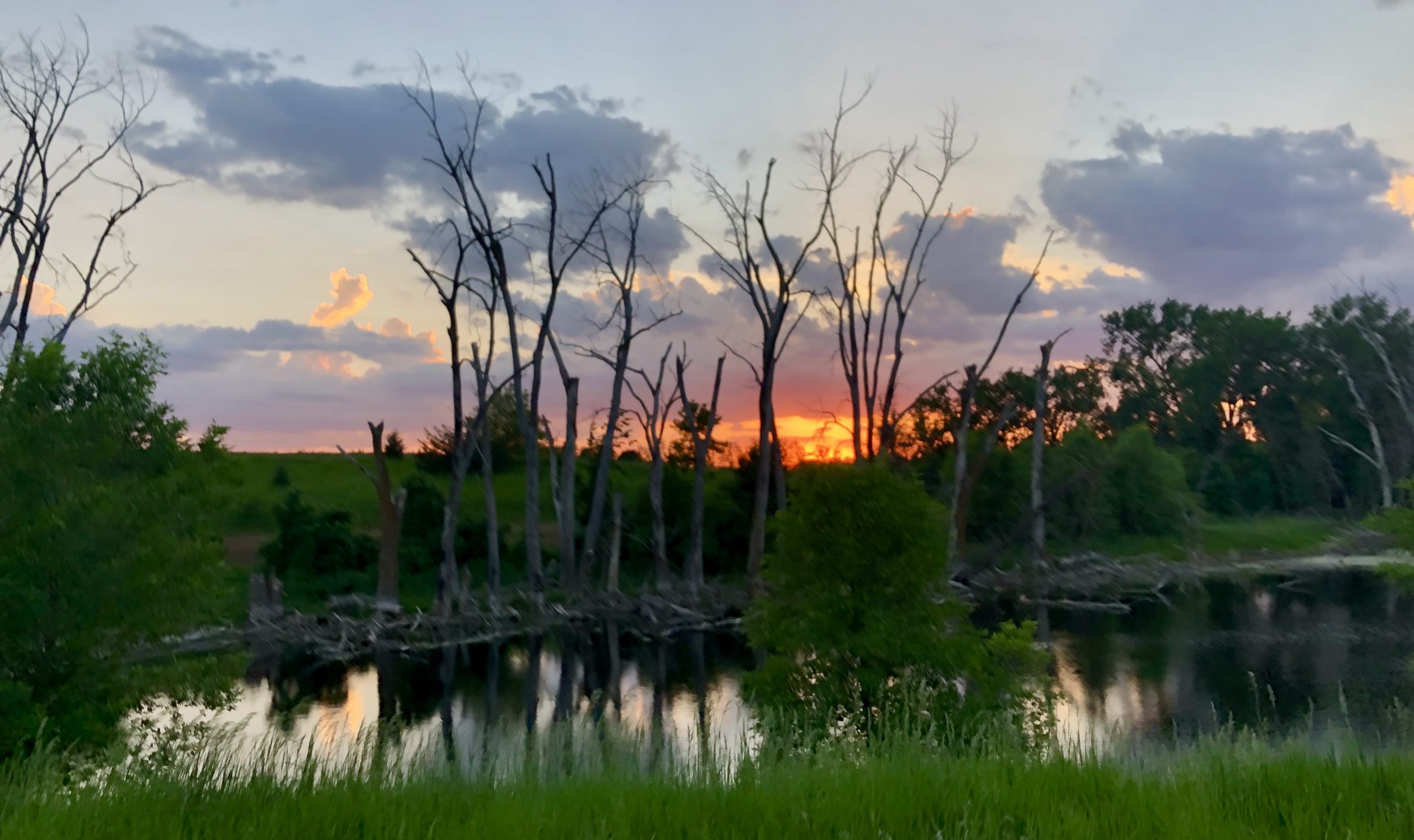 I Hate Conflict | Faith in the Struggle