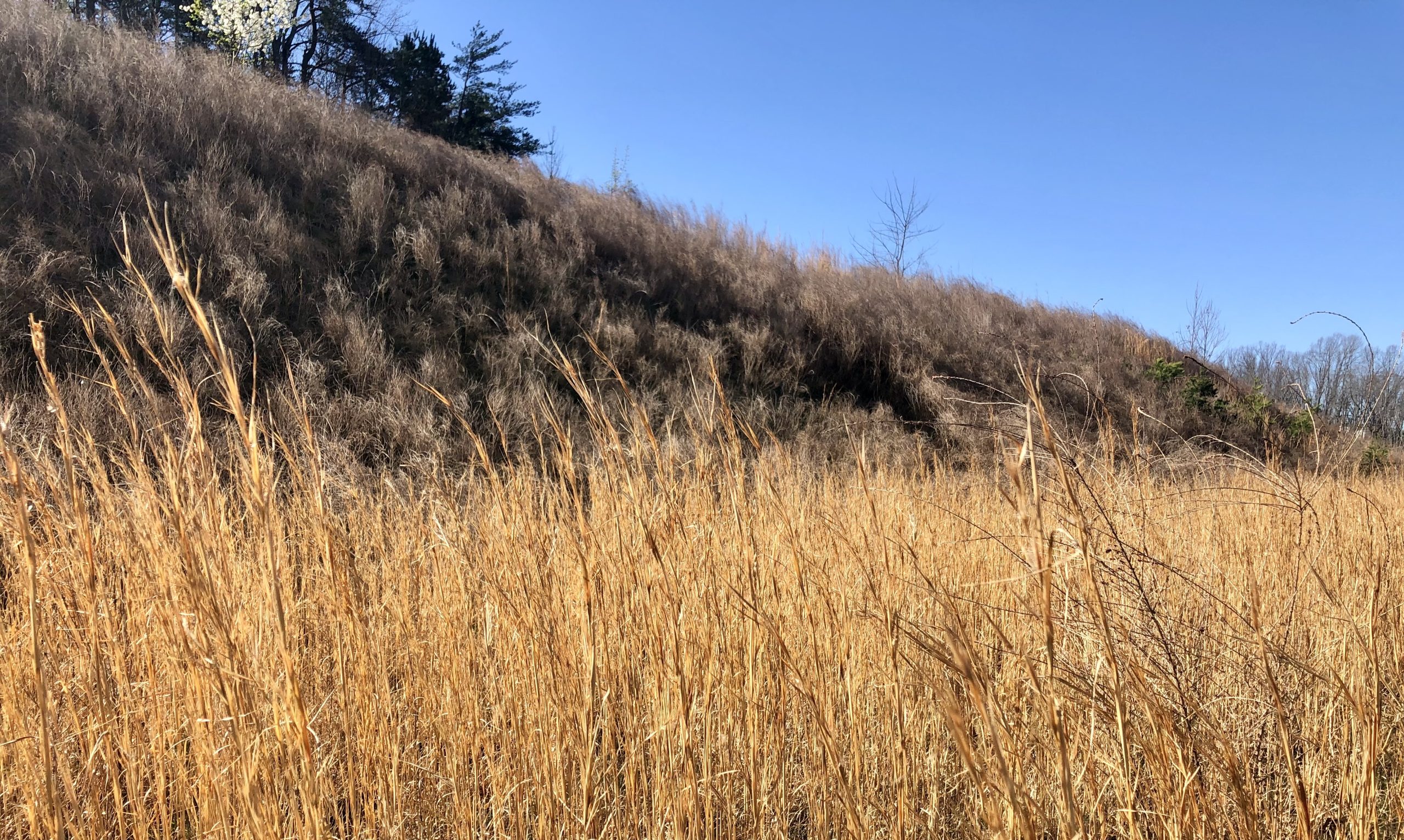 Growth Through Pain | Faith in the Struggle