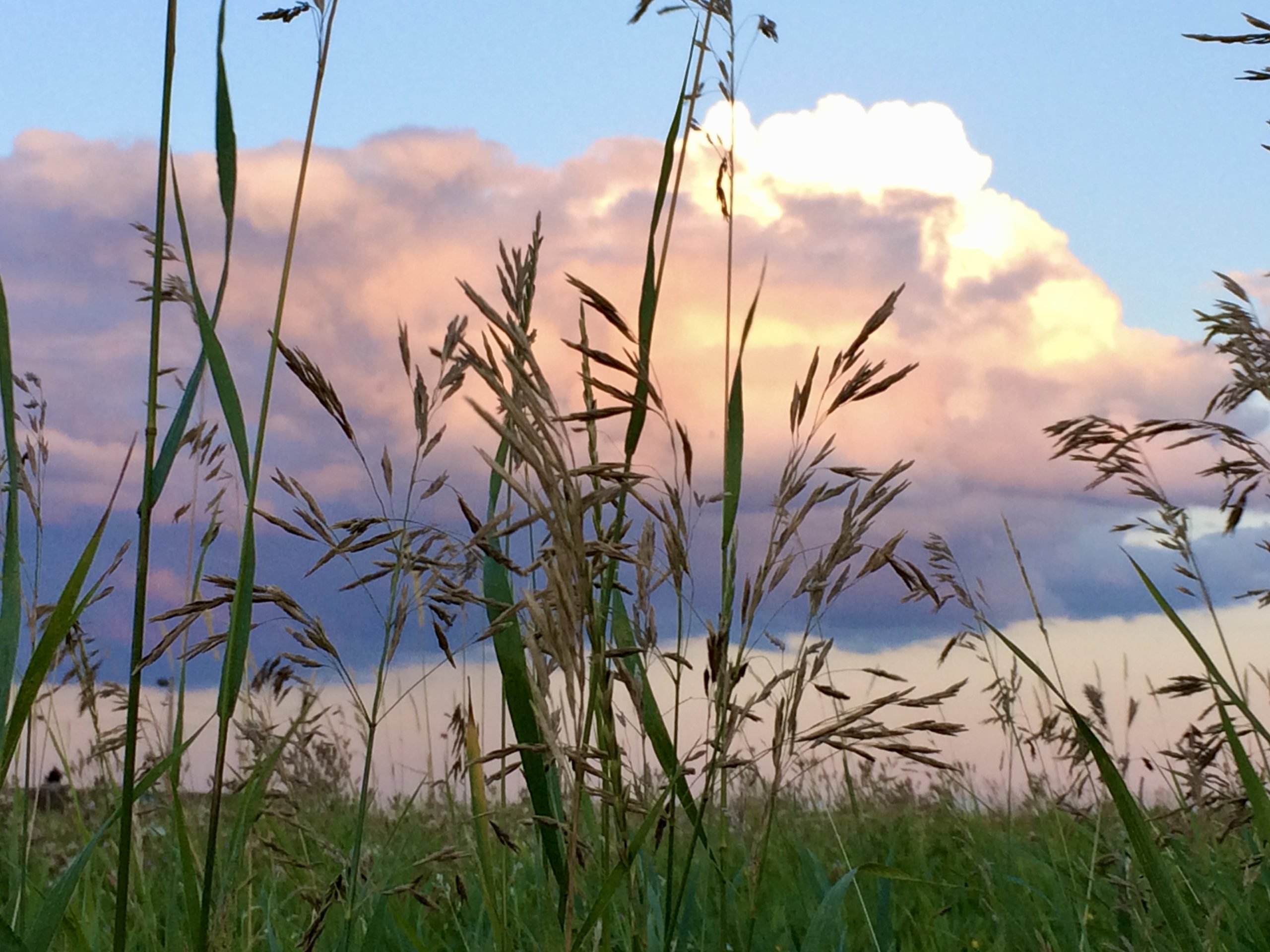Disappointment with God | Faith in the Struggle