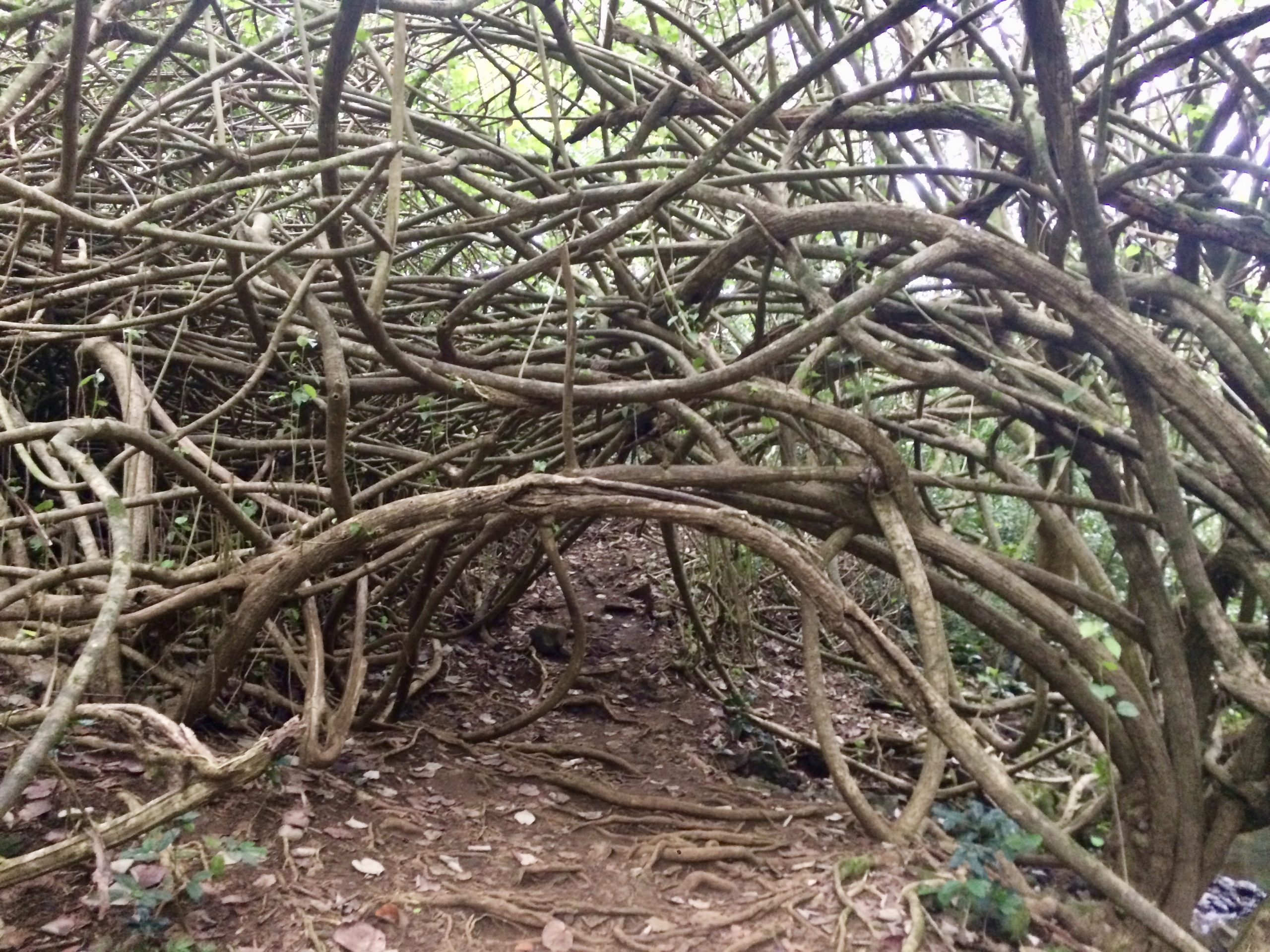 Stinking Thinking | Faith in the Struggle