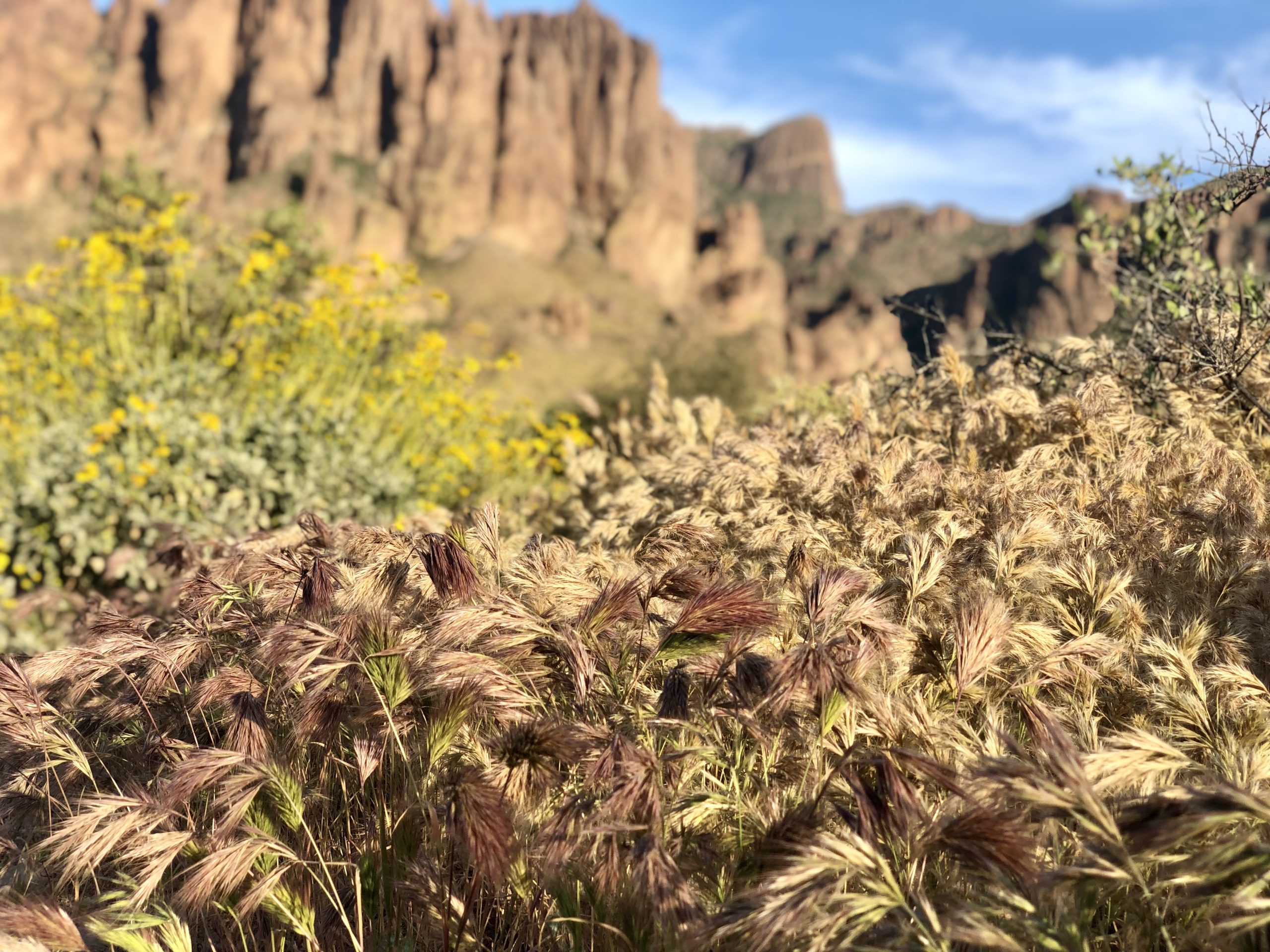 Doing What Comes Naturally | Faith in the Struggle