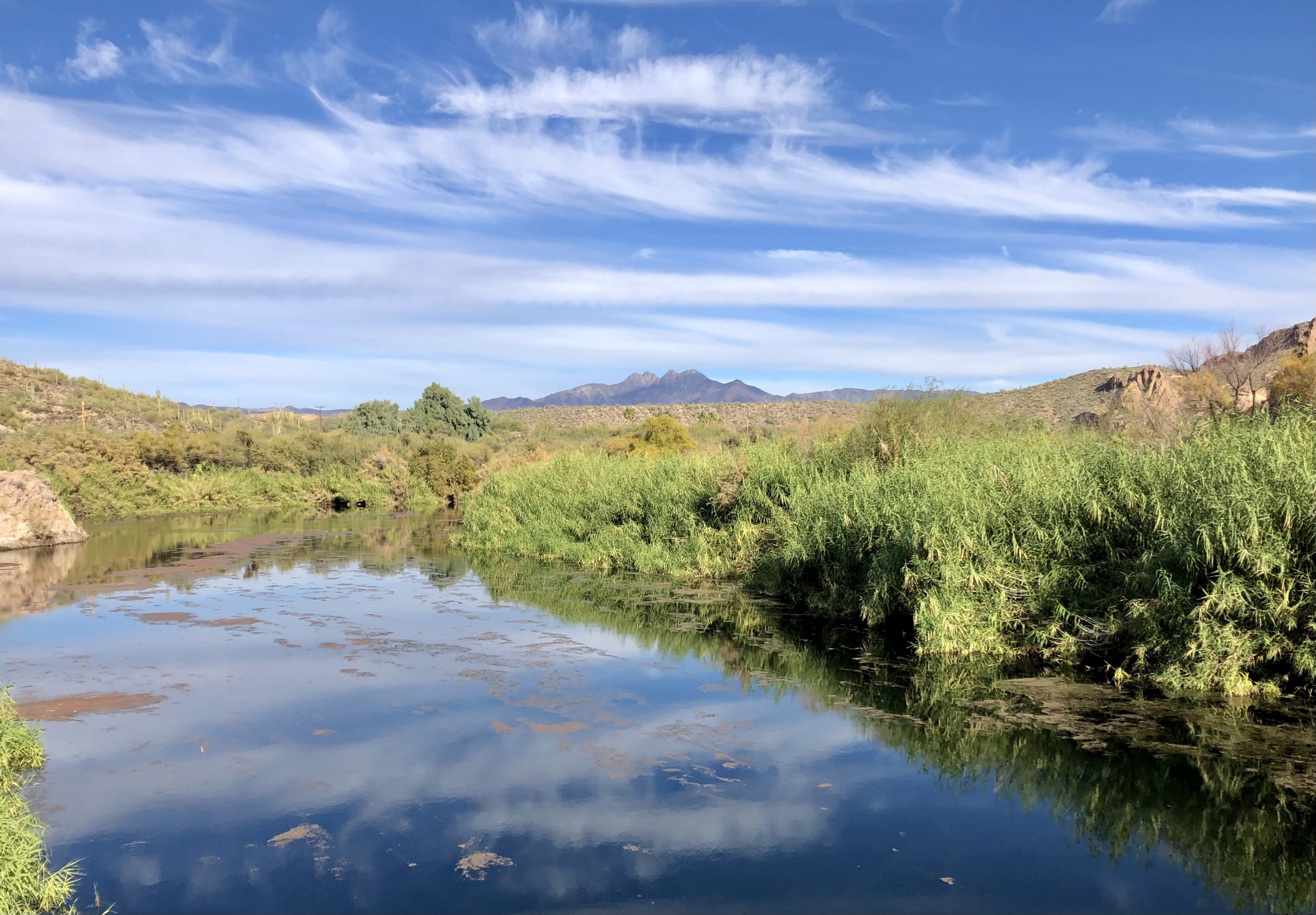 Following God is Dangerous | Faith in the Struggle