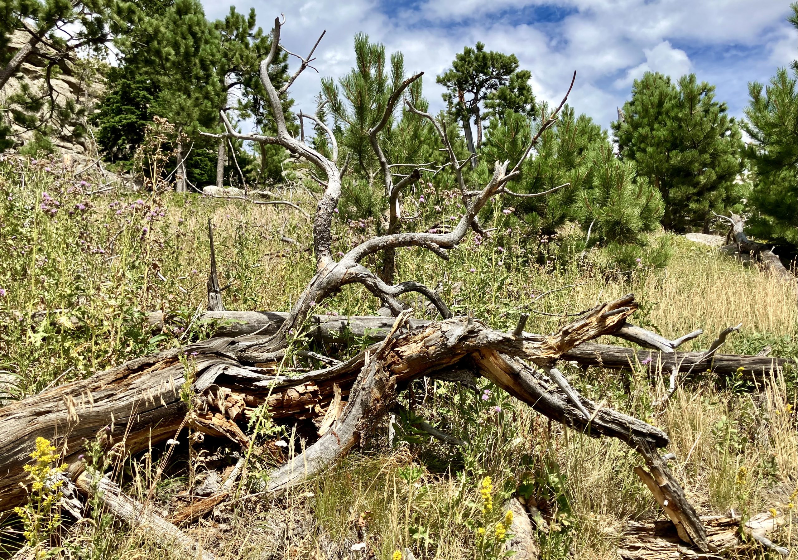 This is What Insanity Looks Like | Faith in the Struggle