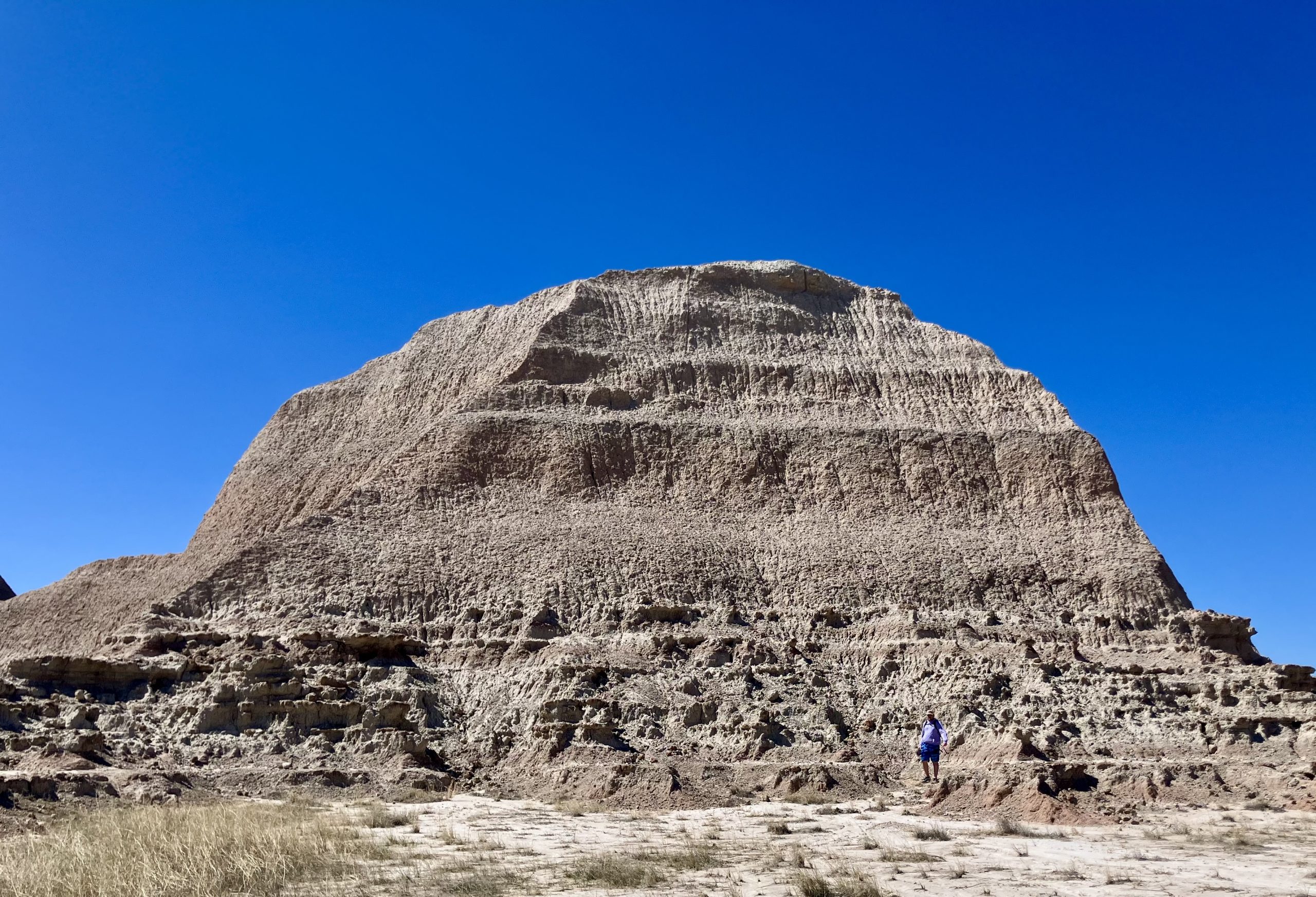 Confronting Evil | Faith in the Struggle